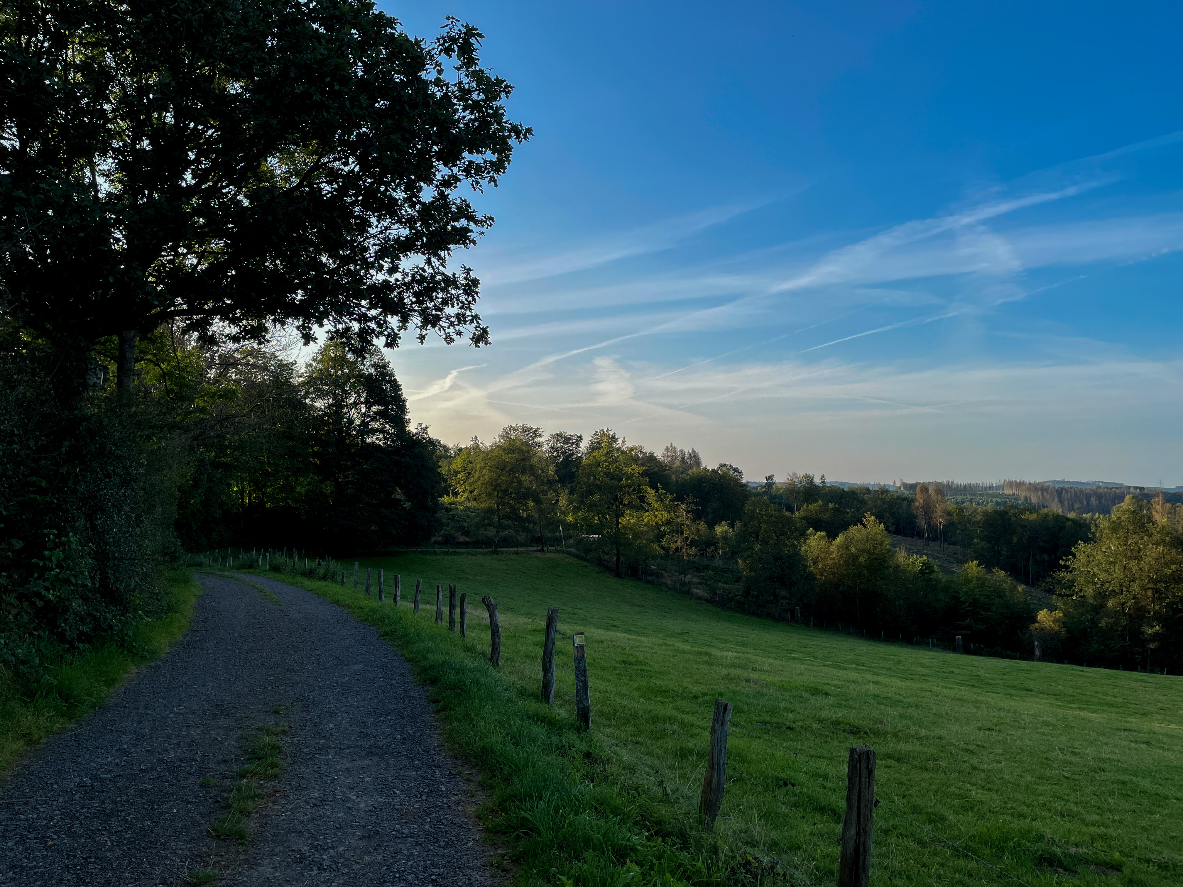 Meinerzhagen circular hiking trail (A2) - Butmicker Waldrunde - www ...